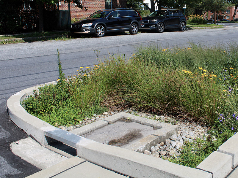 City Initiatives - Save it! Clean it! Green it! - City of Lancaster, PA